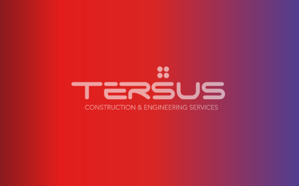 Tersus Limited - Rhics IT Management Consultancy